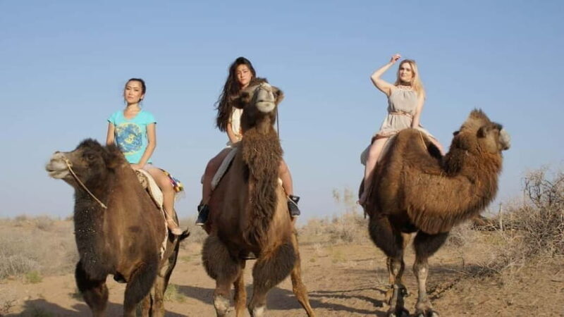 Adventure to Desert Kyzyl Kum and Yurt Camp