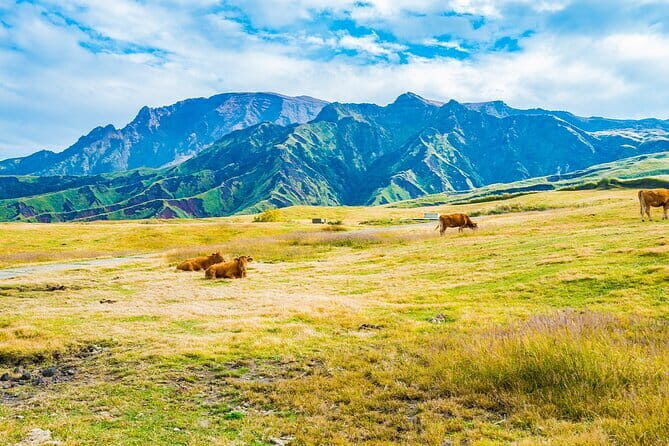 Aso Vocano, Grassland,Onsen and Aso shrine 1-Day Tour