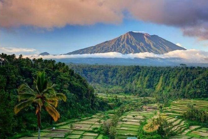 Best bali transport service - custom your own itinerary