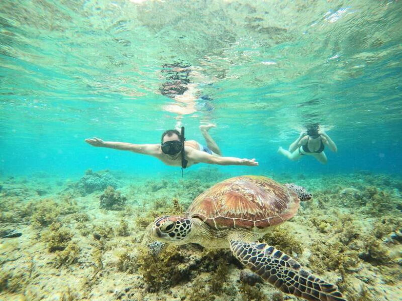 Cebu: Moalboal Sardines Run Snorkel & Kawasan Canyoneering