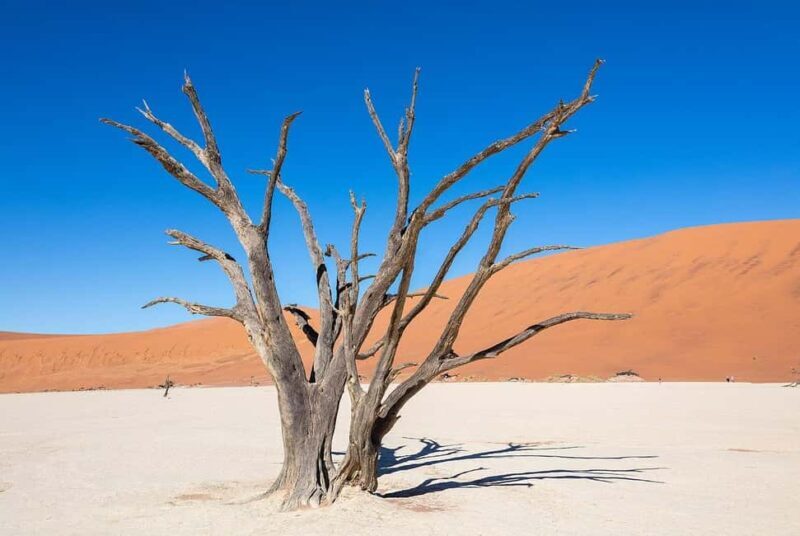 From Windhoek: 3-Day Sossusvlei Shared Shuttle Tour