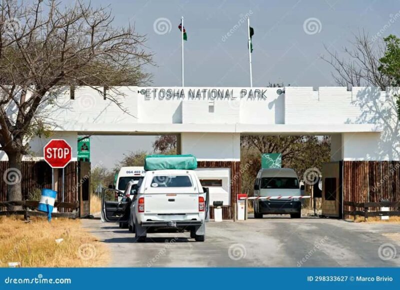 From Windhoek: Guided 1-Day Etosha National Park Safari Tour
