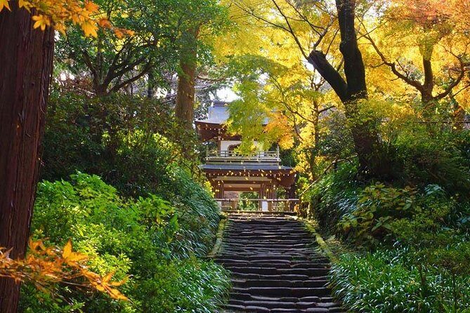 Kamakura Zen Temples and Gardens Private Trip with Government-Licensed ...