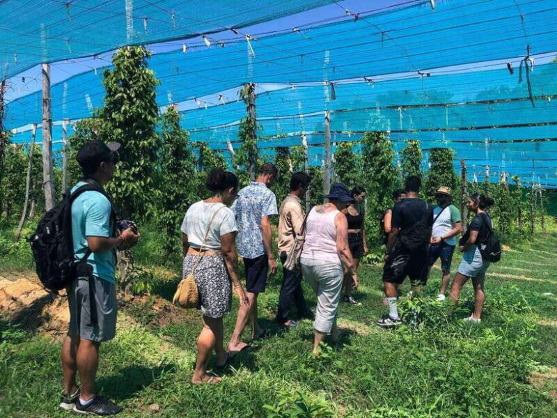 Kampot Pepper Farm, Salt Fields, Cave from Sihanoukville