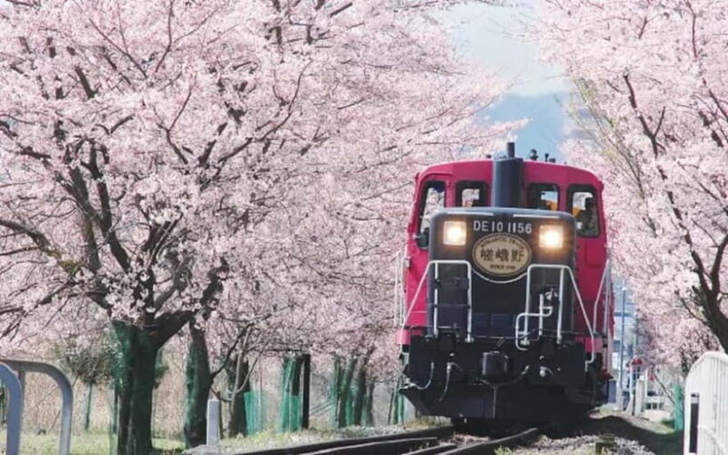 Kyoto: Sagano Romantic Train and Hozugawa River Cruise