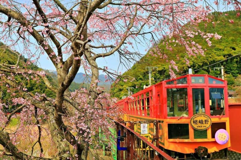 Kyoto: Sagano Scenic Railway, River Cruise, & Sake Tour