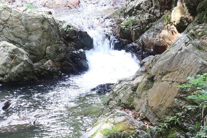Minoh Waterfall and nature walk through the Minoh Park
