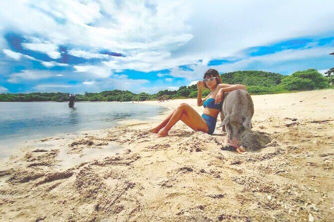 Pig Island (Koh Mudsum) and Koh Tan Tour with Meal from Koh Samui