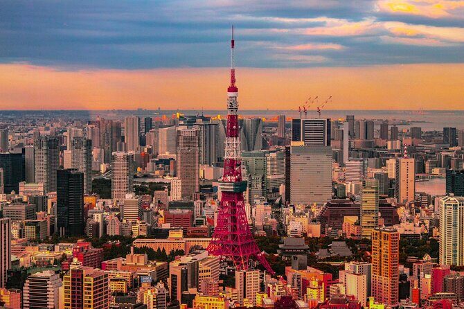 Private and Customisable Tokyo Tour with English Driver-guide