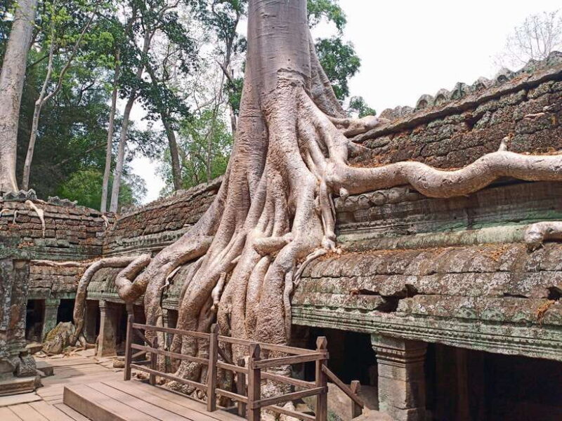 Sharing Trip to Angkor Temple with sunset