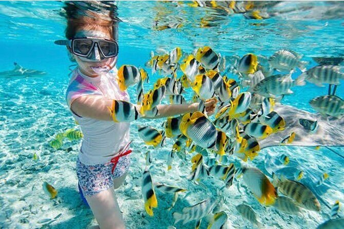Snorkeling At Blue lagoon And Hidden waterfall