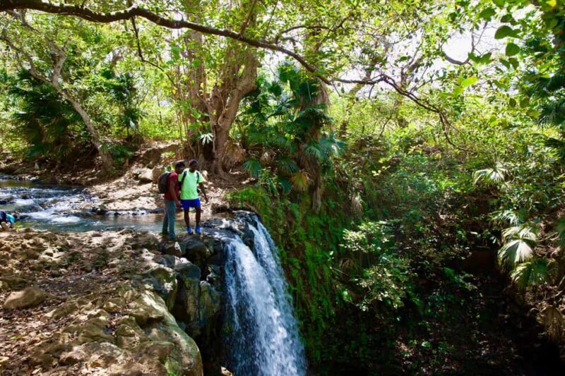 South Mauritius: Easy cliff& jungle hike to hidden waterfall