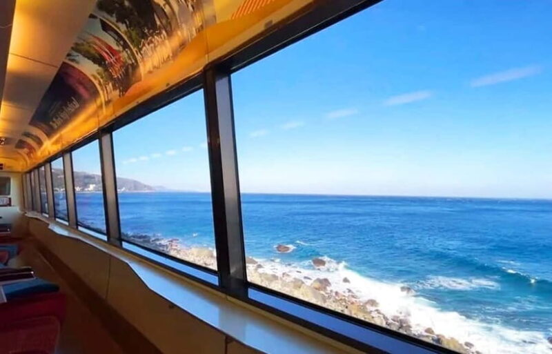 Tokyo: Izu Scenic Oceanview Train, Volcano, Coast Day Trip