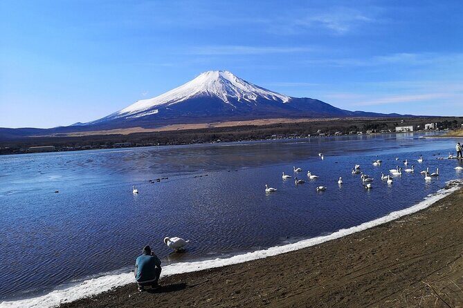 Tokyo: Mount Fuji One Day Trip Lake Kawaguchi & Lake Yamanaka